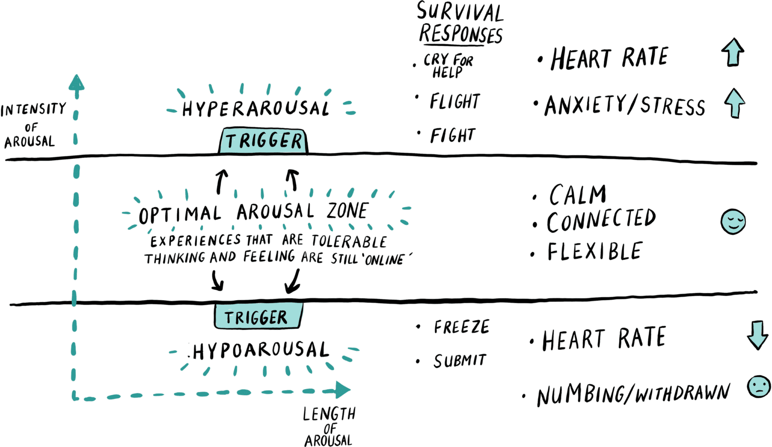The window of tolerance • Healthcare Salute